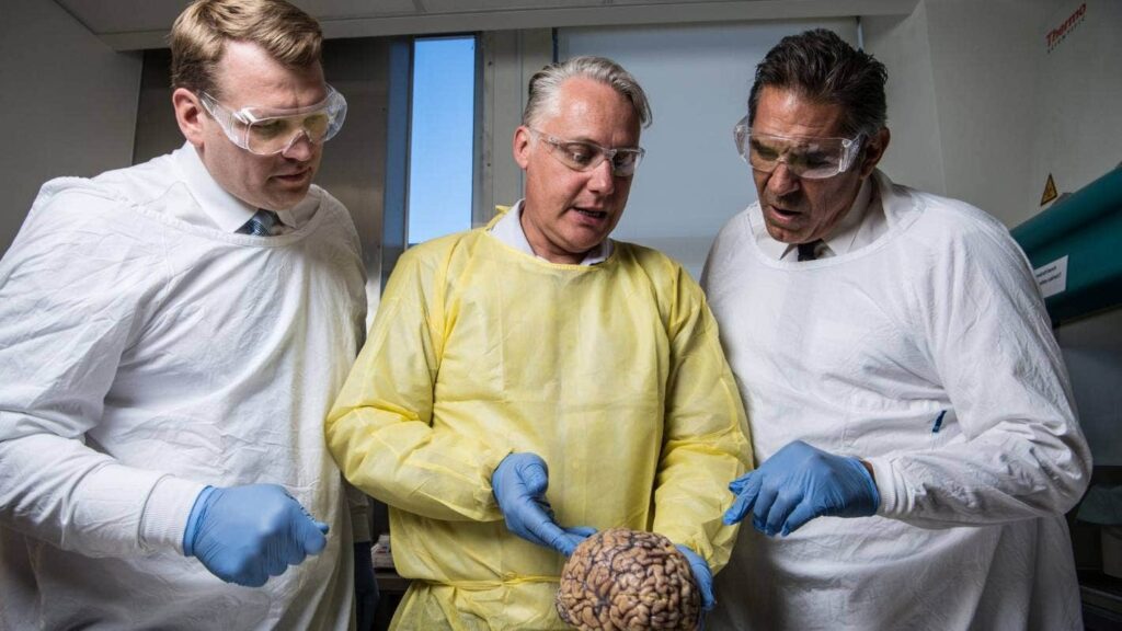 Homepage | Concussion Legacy Foundation Australia